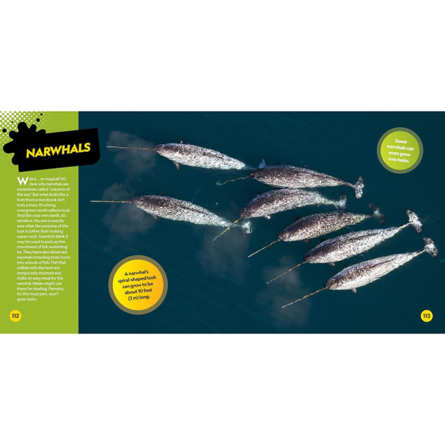 National Geographic Kids Weirdest Animals on the Planet