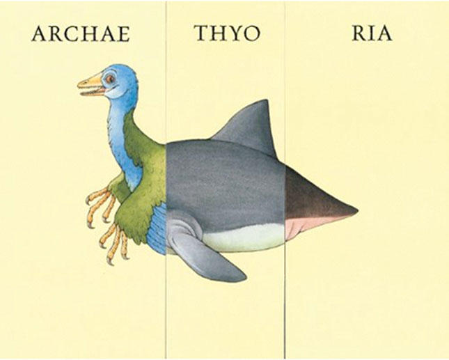 Flip-O-Saurus - - Fat Brain Toys