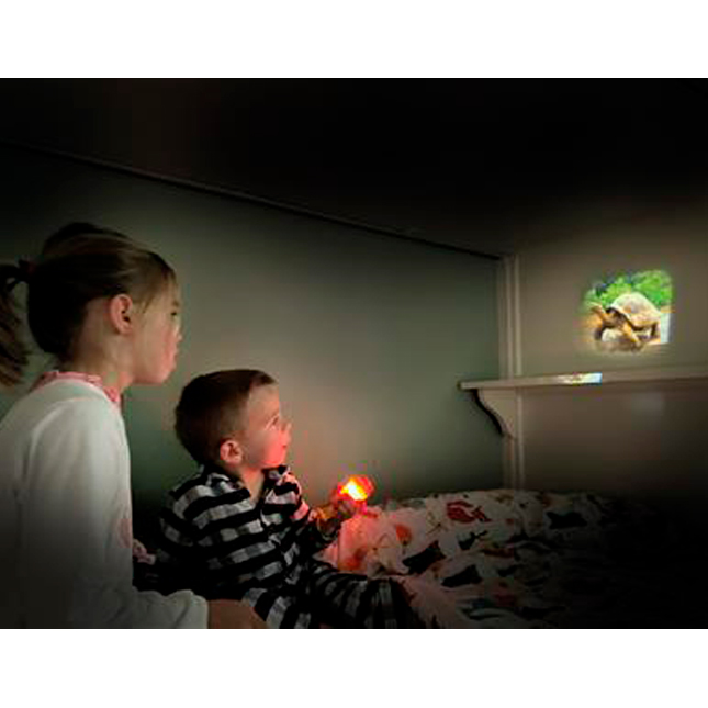 Scratch Europe Projector Light Wild Animals - Best for Ages 3 to 7