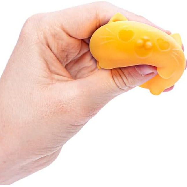 Teenie NeeDoh Cool Cats - Best Mind & Body for Ages 3 to 8