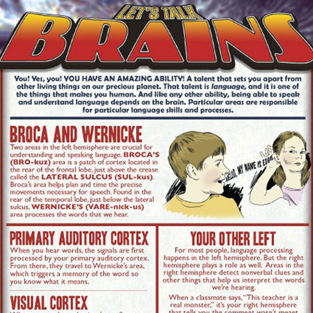 The Amazing Squishy Brain