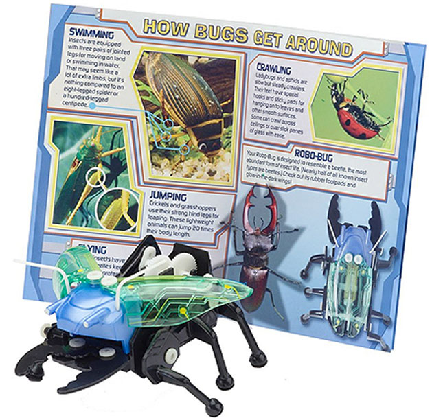 Science Lab - - Fat Brain Toys