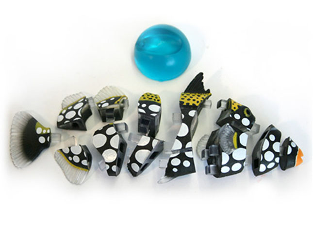 4D Clown Triggerfish Puzzle - - Fat Brain Toys