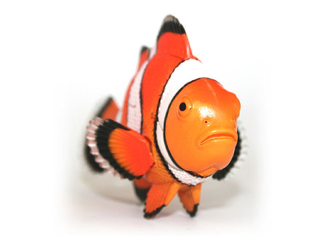 4D Clownfish Puzzle - - Fat Brain Toys