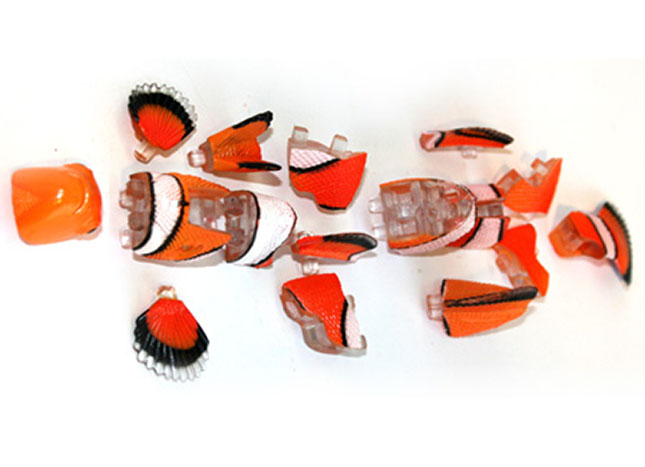 4D Clownfish Puzzle - - Fat Brain Toys