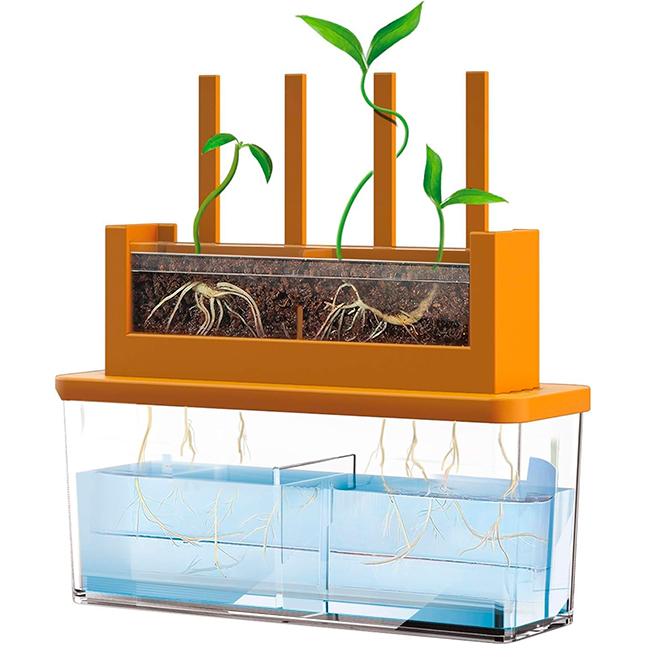 4M Green Science Grow-A-Maze Kit - Best for Ages 5 to 12