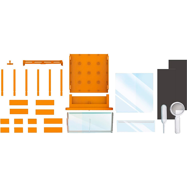 4M Green Science Grow-A-Maze Kit - Best for Ages 5 to 12