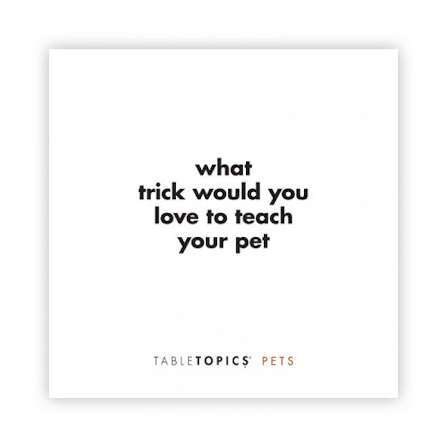 Table Topics To Go - Pets - - Fat Brain Toys