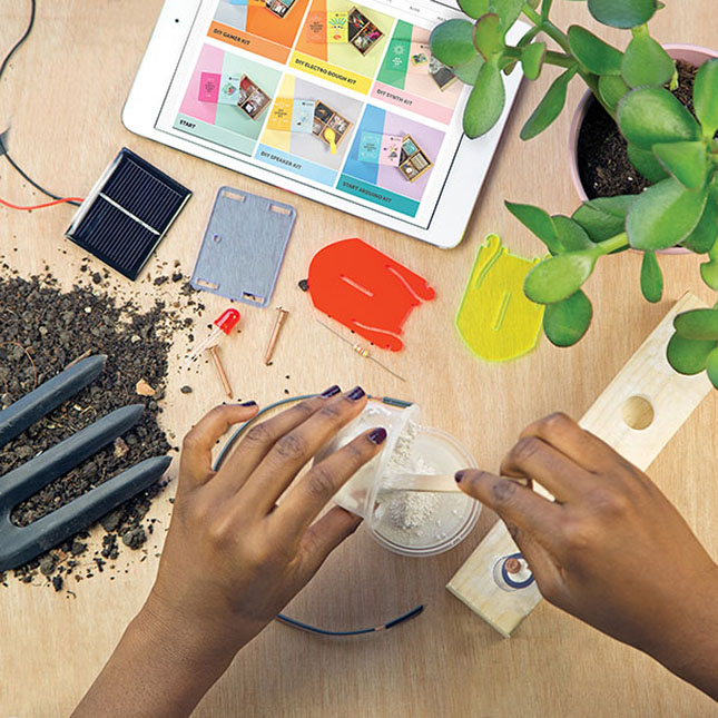 DIY Thirsty Plant Kit - - Fat Brain Toys