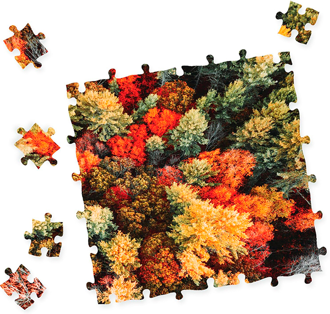 Impossibles Puzzle Falling For Fall - 1000 pc - Best for 12 year olds