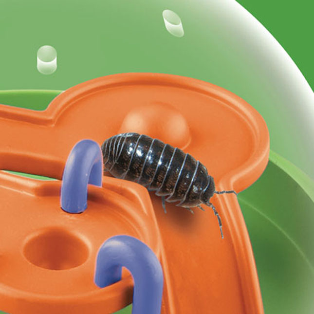 Roly-Poly Playground - - Fat Brain Toys