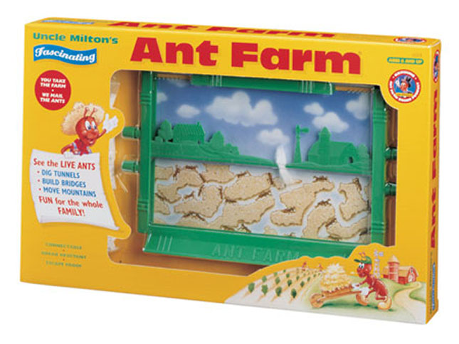 Classic Ant Farm - - Fat Brain Toys