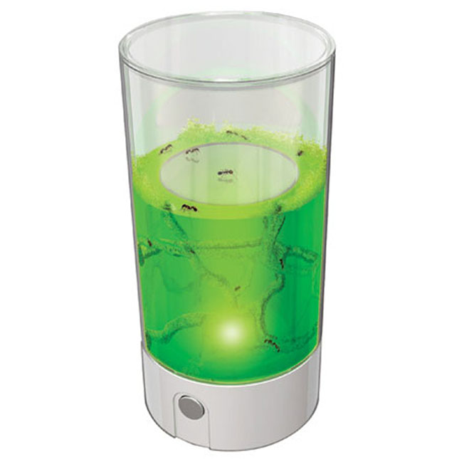 Ant Farm Revolution - - Fat Brain Toys