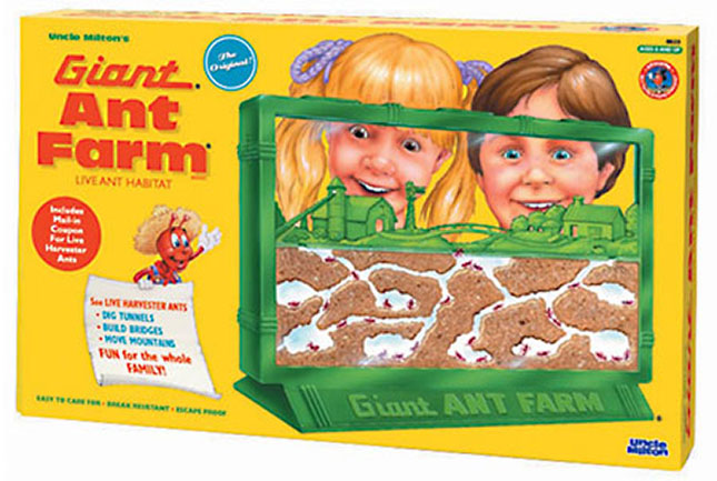 Giant Ant Farm - - Fat Brain Toys
