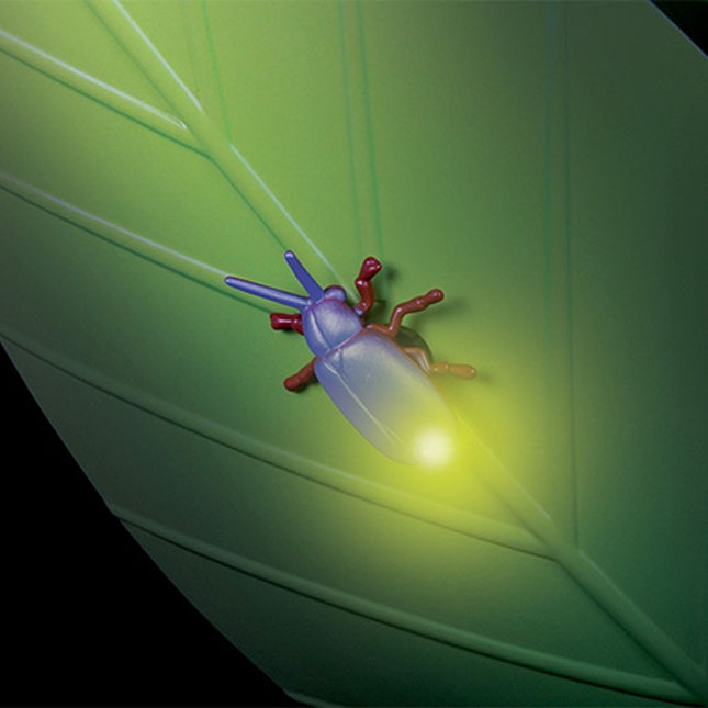 Fireflies In My Room - - Fat Brain Toys