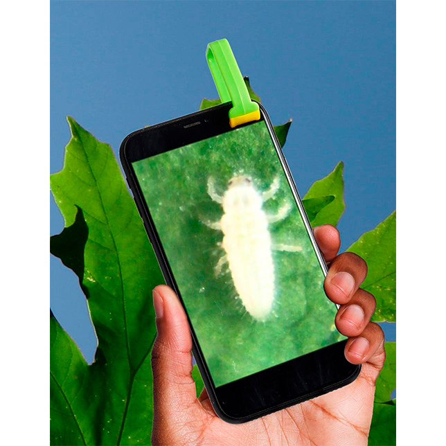 Smart Lab Outdoor Science Lab - - Fat Brain Toys