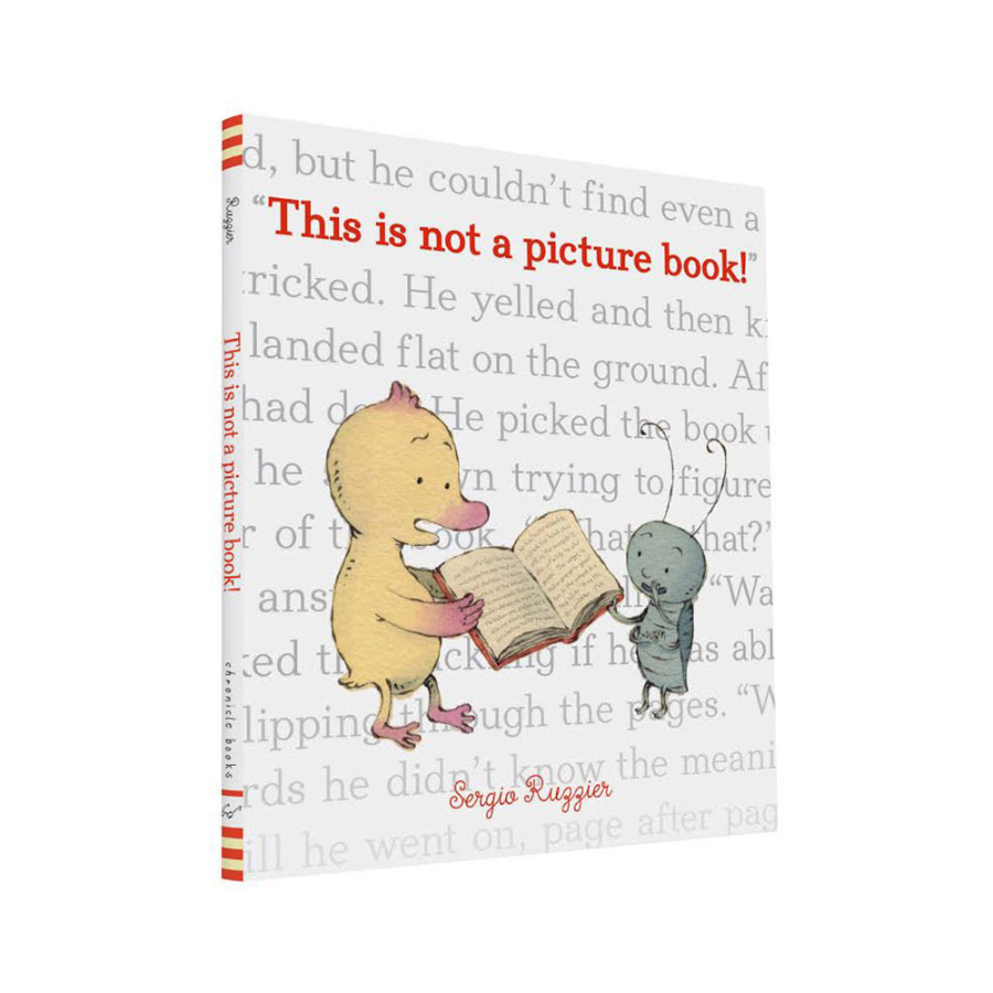 This Is Not A Picture Book - - Fat Brain Toys