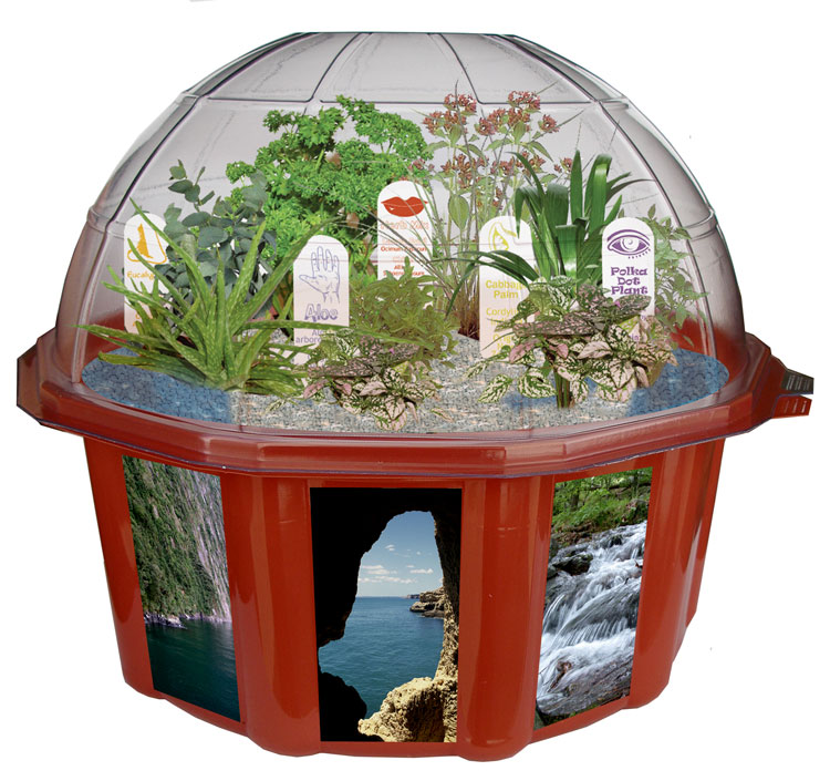 Sensory Dome Terrarium - - Fat Brain Toys