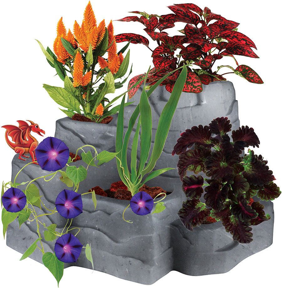 Volcano Mountain Terrarium - - Fat Brain Toys