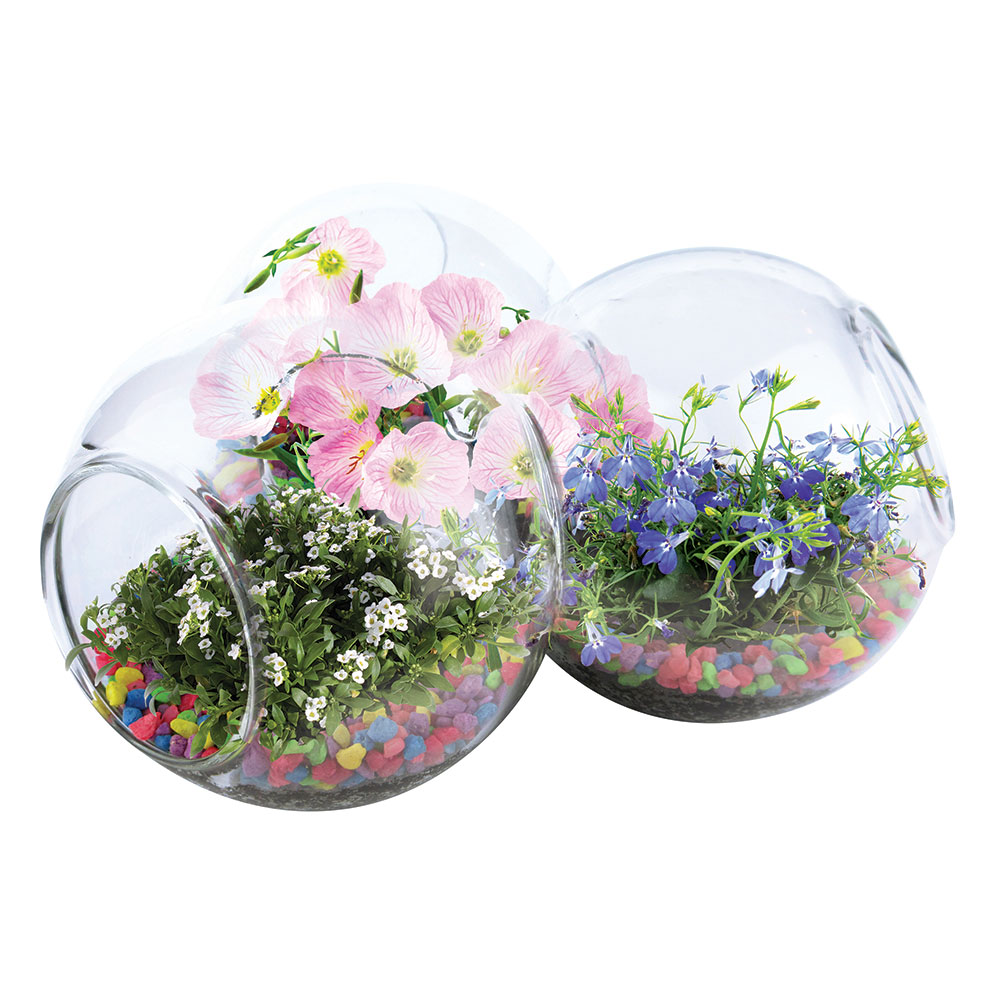 Enchanted Fairy Isle Triple Bubble Glass Terrarium - - Fat Brain Toys