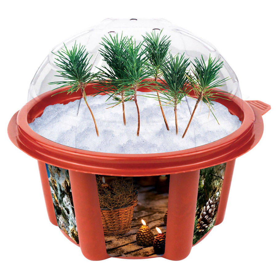 Winter Wonderland Pine Forest Mini Dome Terrarium - - Fat Brain Toys
