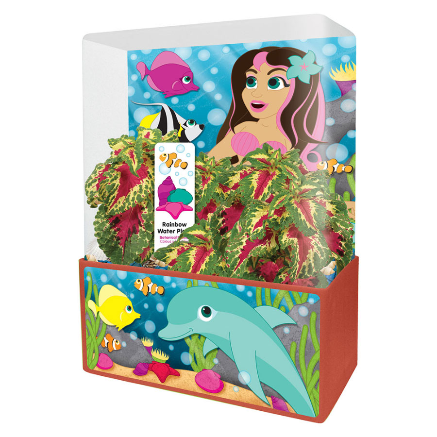Mermaid's Growing Grotto Terrarium - - Fat Brain Toys