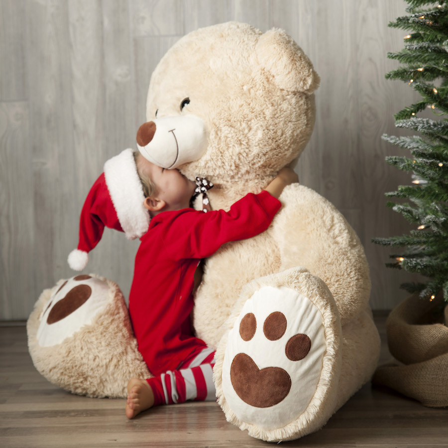 My Teddy Bear Pal - - Fat Brain Toys