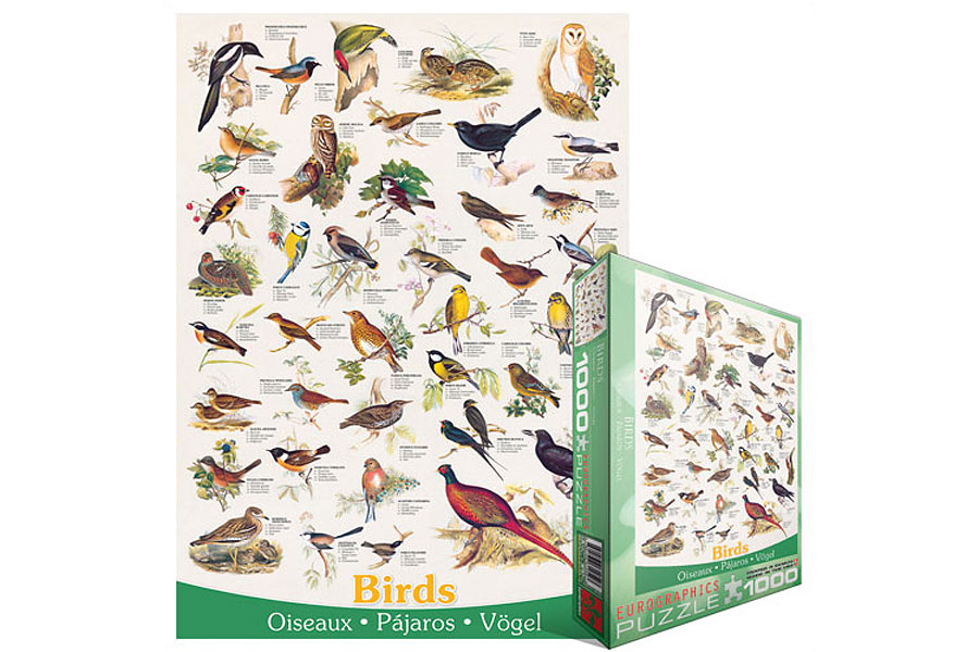 Bird Watching 1000 piece puzzle - - Fat Brain Toys Bird Watching 1000 piece puzzle - - Fat Brain Toys
