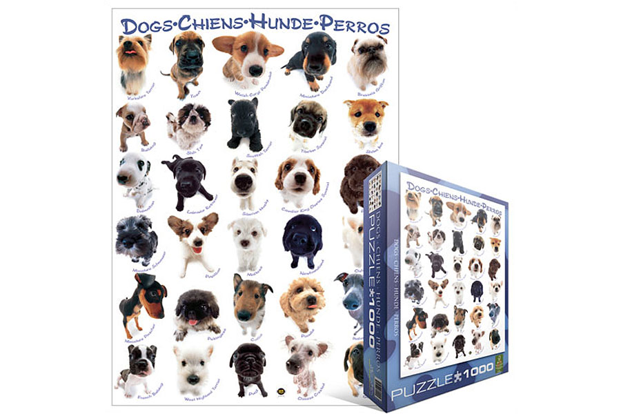Dog Breeds 1000 piece puzzle - - Fat Brain Toys