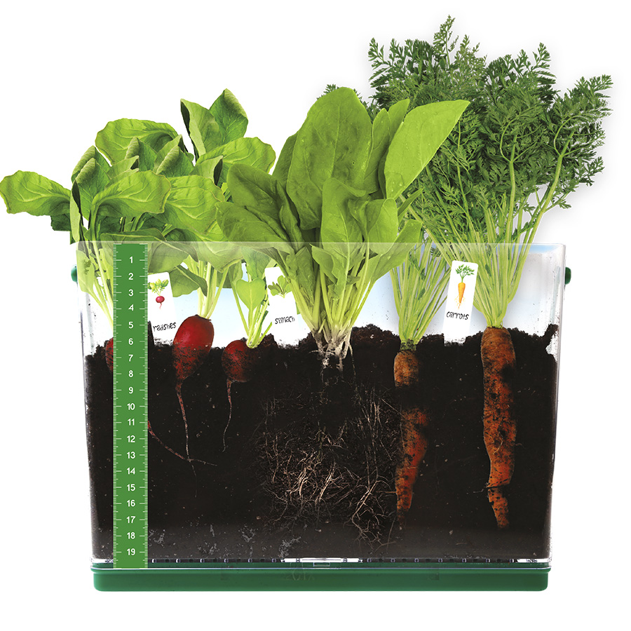 Grow & See Vegetable Garden - Best for Ages 6 to 11