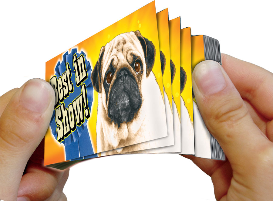 Best in Dog Show Flip Book - - Fat Brain Toys
