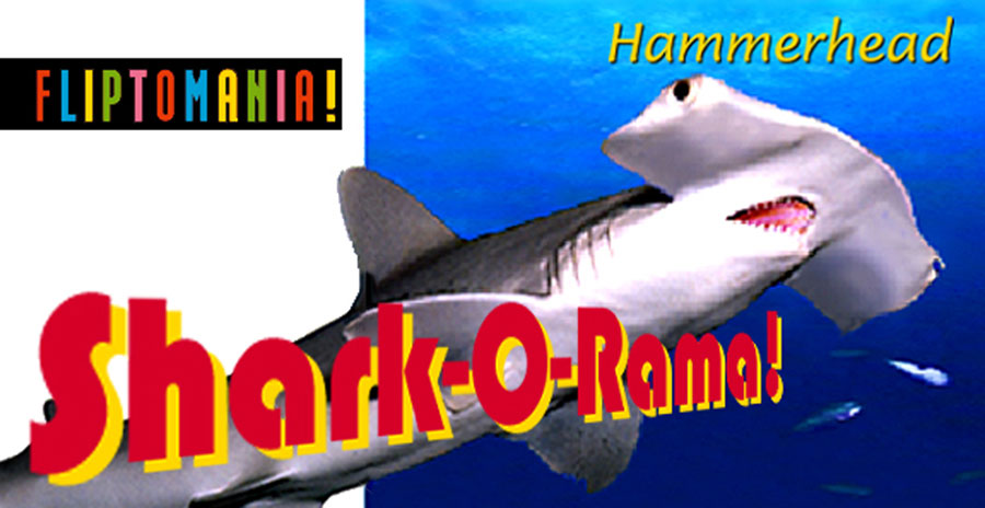 Shark-O-Rama Flip Book - - Fat Brain Toys