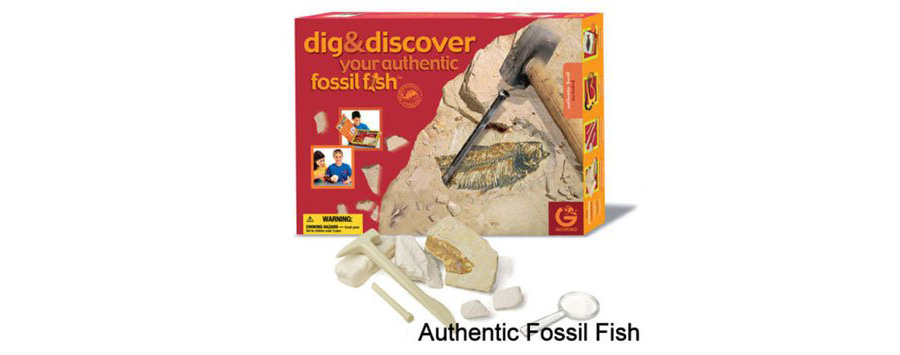Dig & Discover - - Fat Brain Toys