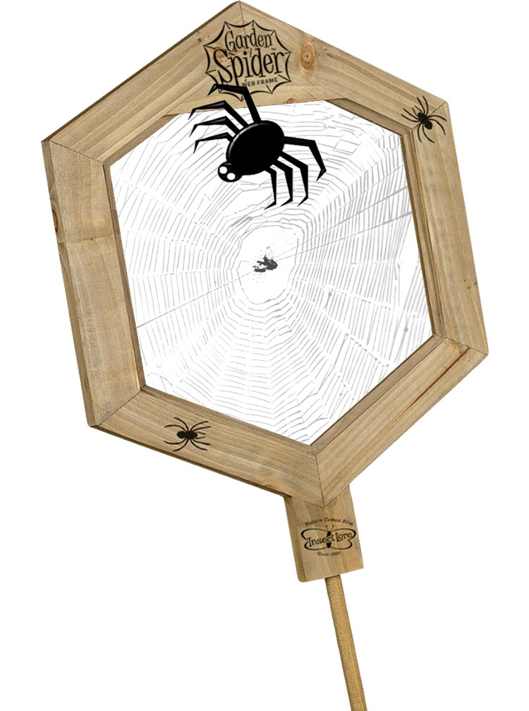 Garden Spider Web Frame - - Fat Brain Toys
