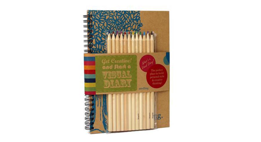 Visual Diary - - Fat Brain Toys