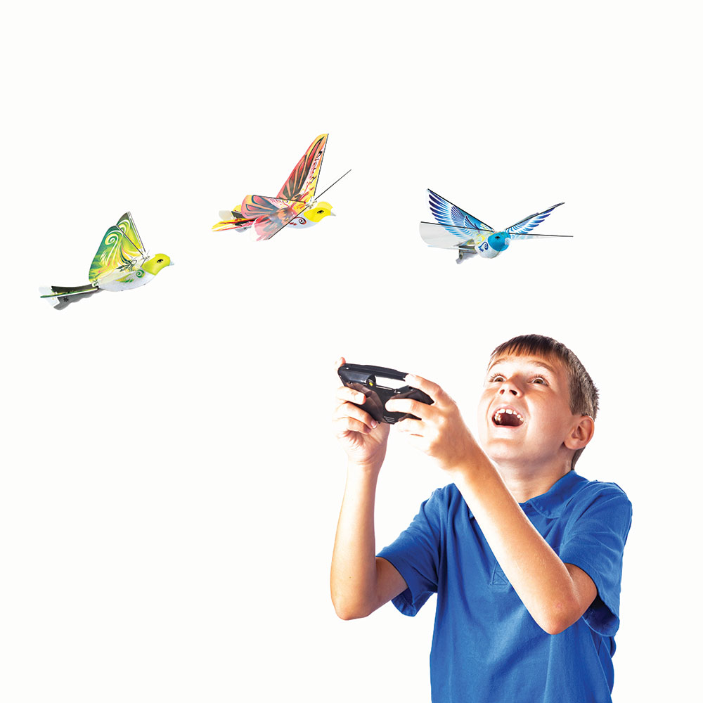 eBird - RC Flying Bird - - Fat Brain Toys