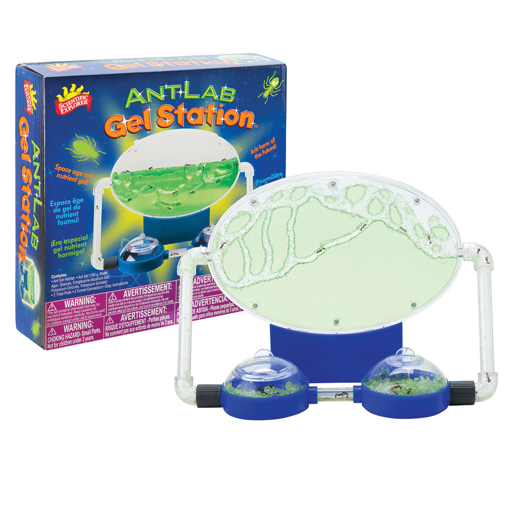 Ant Lab Gel Station - - Fat Brain Toys