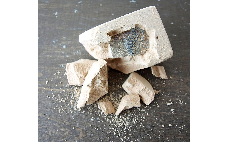 Mini Fossil Dig - - Fat Brain Toys