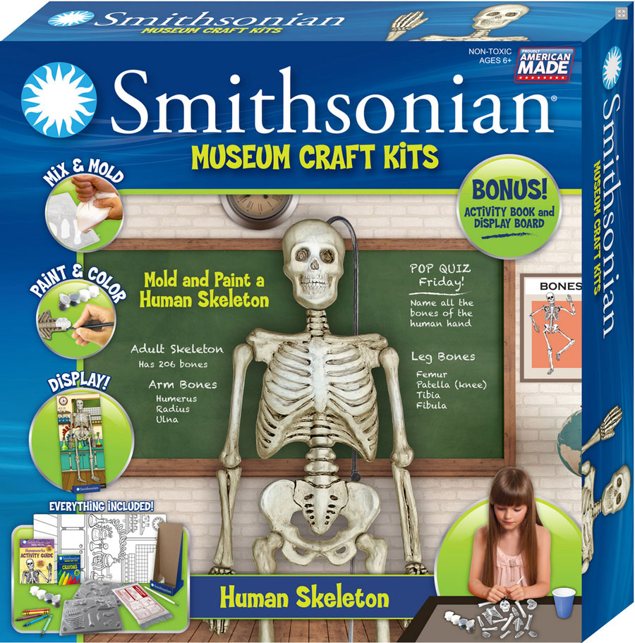 Smithsonian Human Skeleton Casting Kit - - Fat Brain Toys