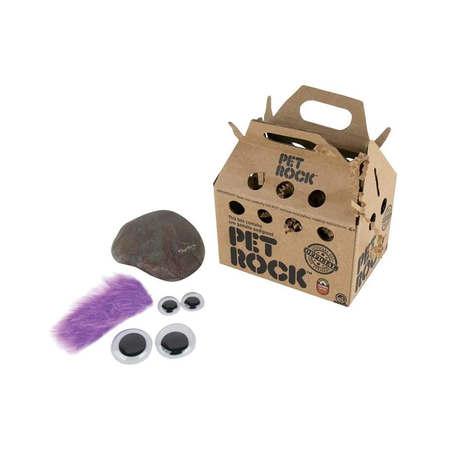 World's Smallest Pet Rock - - Fat Brain Toys