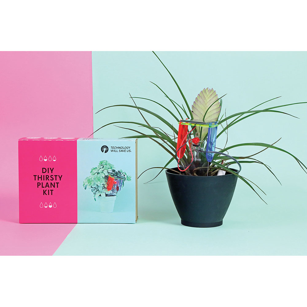 DIY Thirsty Plant Kit - - Fat Brain Toys