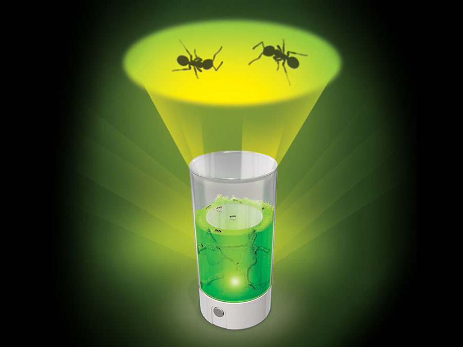 Ant Farm Revolution - - Fat Brain Toys