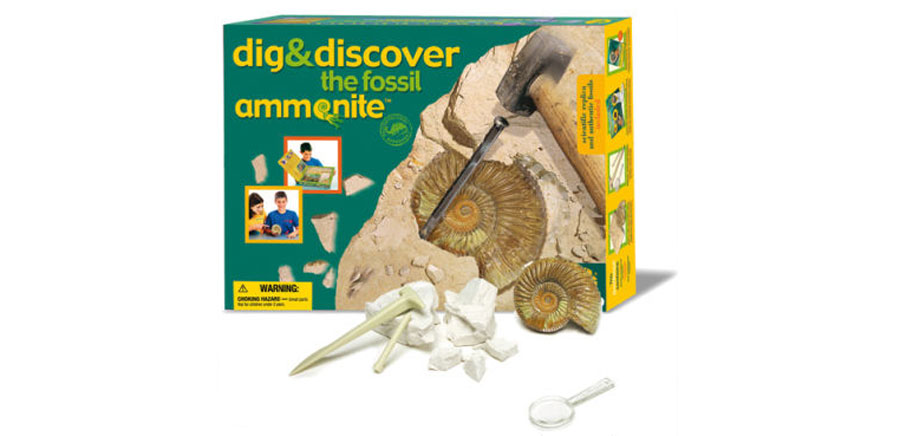 Ammonite Dig & Discovery Excavation Kit - - Fat Brain Toys