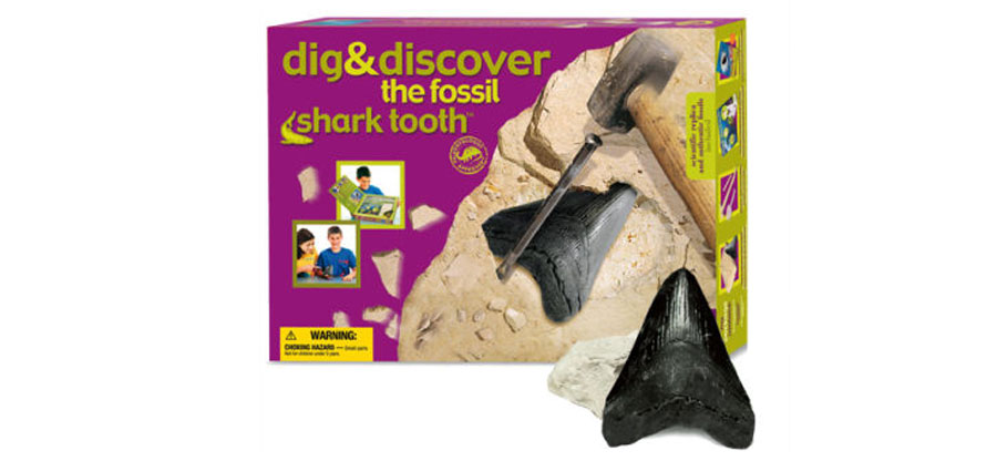 Shark Tooth Dig & Discovery Excavation Kit - - Fat Brain Toys