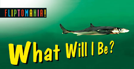 Shark Flip Book - - Fat Brain Toys