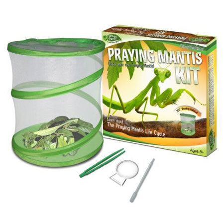 Green Earth Praying Mantis Kit - - Fat Brain Toys