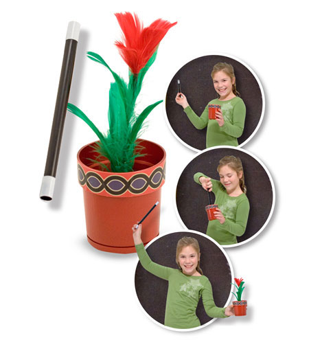 Magic Flower Bouquet - - Fat Brain Toys