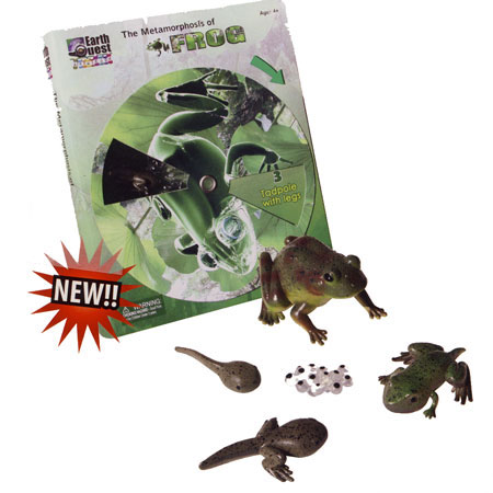 Metamorphosis Kit - - Fat Brain Toys