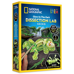National Geographic Glow-in-the-Dark Gecko Dissection Lab