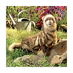 Ferret Puppet - - Fat Brain Toys